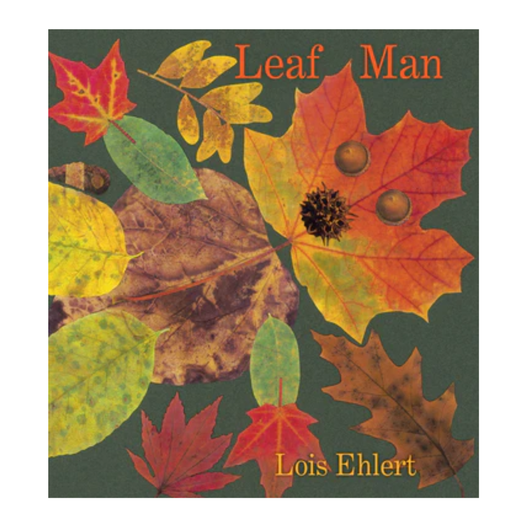 Leaf Man - Board Book – Pacifier Kids Boutique