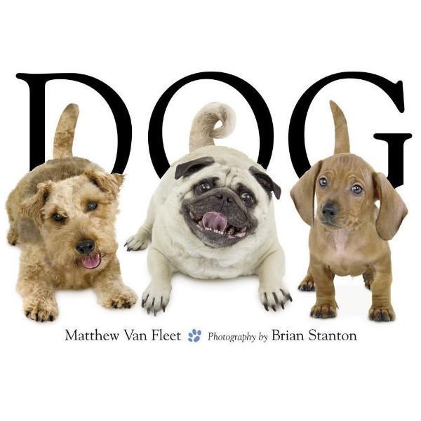 Dog - Interactive Hardcover – Pacifier Kids Boutique