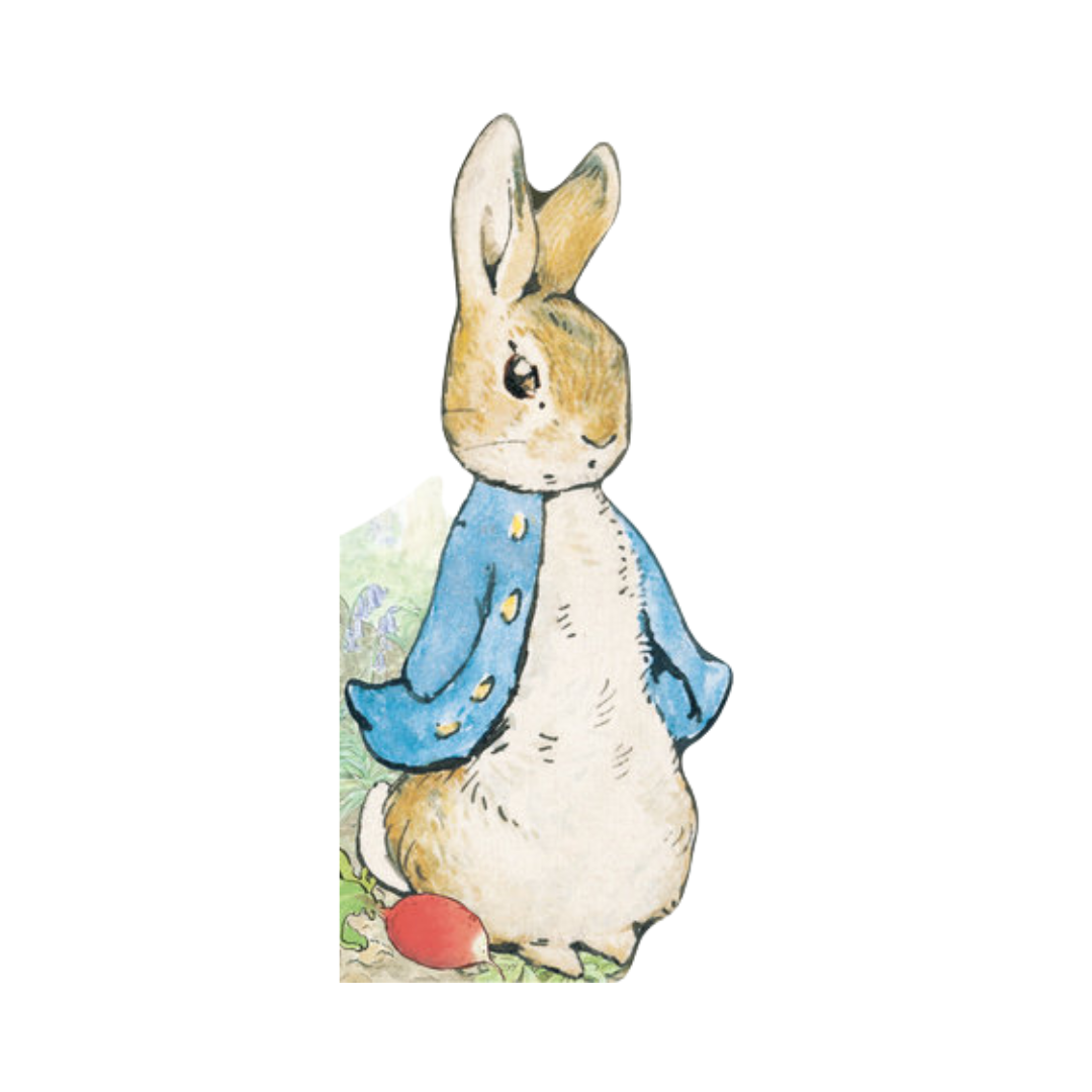 All About Peter (Peter Rabbit) - Board Book – Pacifier Kids Boutique