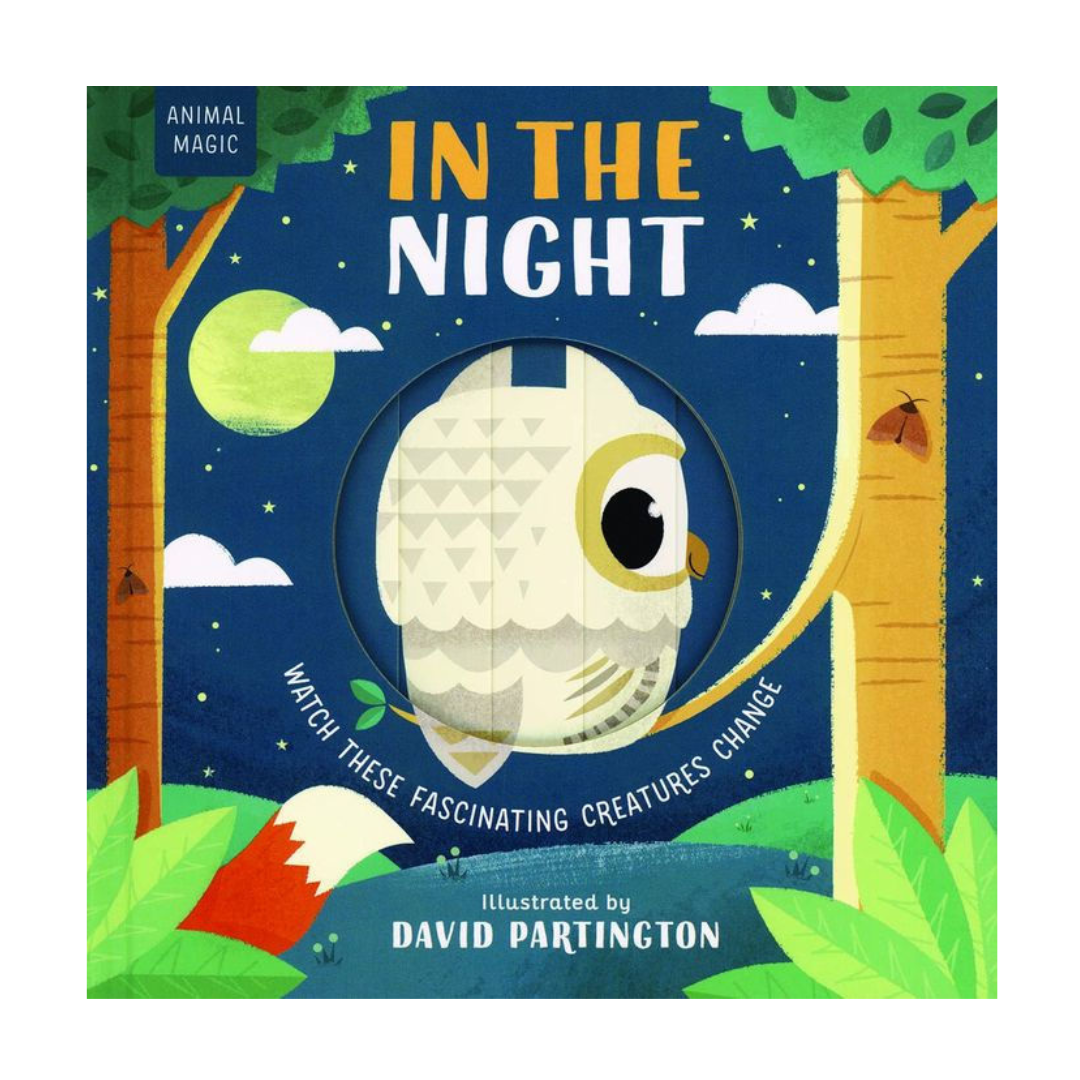 In The Night - Board Book – Pacifier Kids Boutique